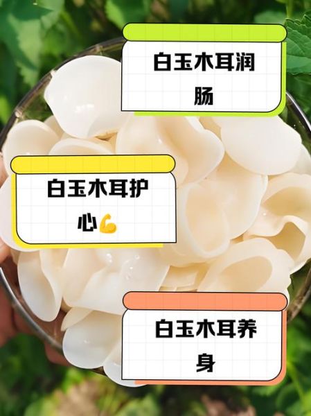 长期吃木耳有什么好处_木耳的功效与作用-第1张图片-山城妙识