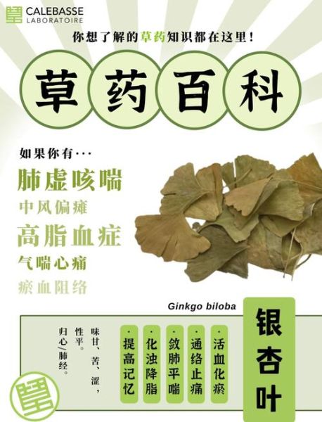 银杏的功效与作用有哪些_银杏叶怎么吃才有效-第1张图片-山城妙识