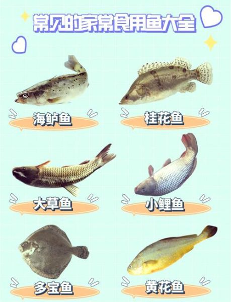 常见鱼的种类图片和名字_淡水鱼与海水鱼名称对照-第1张图片-山城妙识 常见鱼的种类图片和名字_淡水鱼与海水鱼名称对照-第1张图片-山城妙识