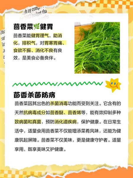 茴香菜孕妇能吃吗_孕妇吃茴香安全吗-第2张图片-山城妙识