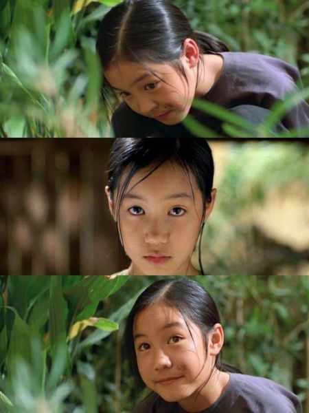 青木瓜之味阅读题答案_青木瓜之味主题思想-第3张图片-山城妙识