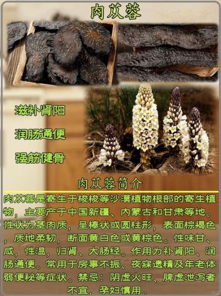 肉苁蓉吃后真硬吗_多久见效-第1张图片-山城妙识