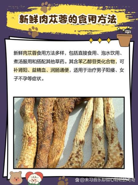 肉苁蓉吃后真硬吗_多久见效-第3张图片-山城妙识