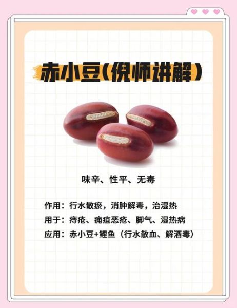 赤小豆的功效与作用禁忌_赤小豆的正确吃法-第1张图片-山城妙识