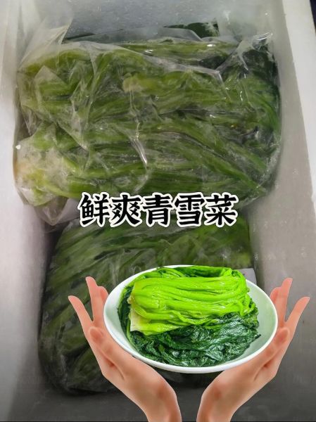 雪里蕻怎么腌制_雪里蕻和雪菜的区别-第2张图片-山城妙识