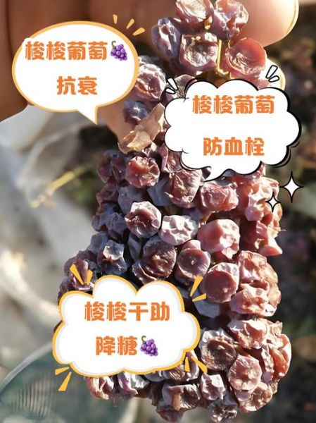 葡萄干怎么泡水_葡萄干泡水的正确方法-第2张图片-山城妙识