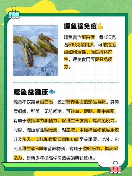 嘎鱼的营养价值及功效_嘎鱼的禁忌有哪些-第1张图片-山城妙识 嘎鱼的营养价值及功效_嘎鱼的禁忌有哪些-第1张图片-山城妙识