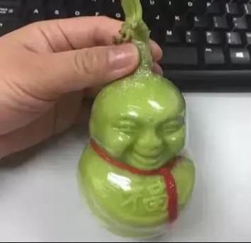 长得像娃娃的人参果是什么_娃娃人参果营养价值-第2张图片-山城妙识