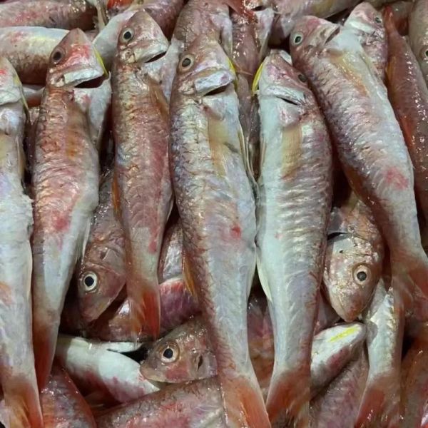 红鱼有多少种_红鱼品种图片大全-第2张图片-山城妙识