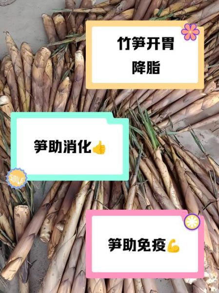笋的营养价值及功效与作用_笋吃多了会伤胃吗-第2张图片-山城妙识