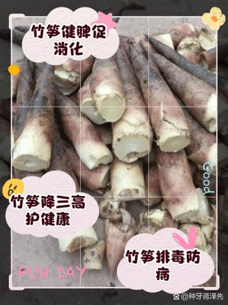 笋的营养价值及功效与作用_笋吃多了会伤胃吗-第1张图片-山城妙识