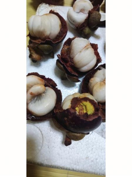 山竹果肉坏了怎么看_山竹果肉变质判断方法-第2张图片-山城妙识