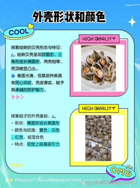 蛤蜊有哪些种类_蛤蜊怎么区分-第2张图片-山城妙识