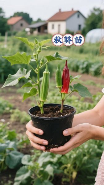 秋葵视频免费看无限下载_如何安全获取高清资源-第2张图片-山城妙识