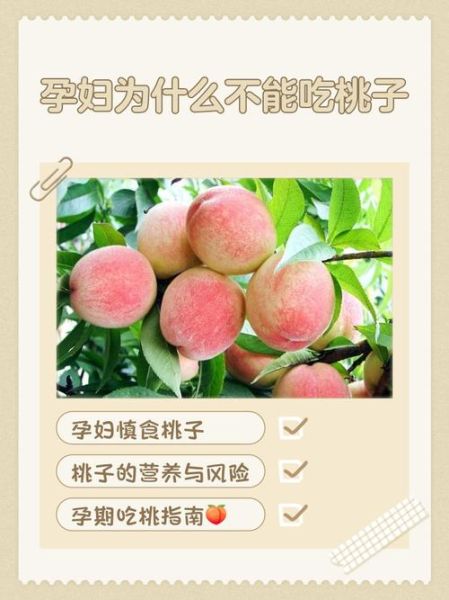 孕妇可以吃桃子吗孕晚期_孕晚期吃桃子的注意事项-第1张图片-山城妙识