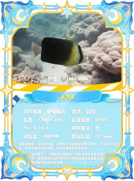 鲽鱼和鲆鱼有什么区别_如何快速分辨-第1张图片-山城妙识