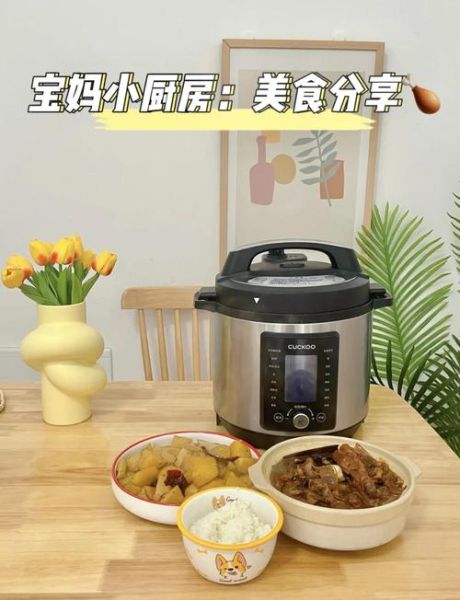 压力锅做菜怎么选_压力锅做菜菜谱推荐-第2张图片-山城妙识