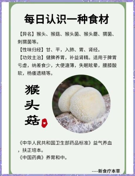 猴头菌提取物颗粒怎么吃_猴头菌提取物颗粒功效与作用-第2张图片-山城妙识