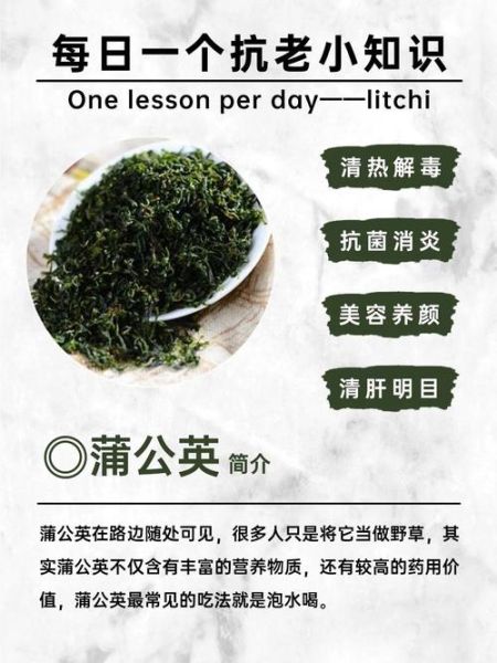 蒲公英的作用是什么_蒲公英的功效与禁忌-第3张图片-山城妙识