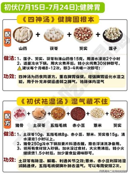 药膳中药材有哪些_如何搭配不上火-第3张图片-山城妙识 药膳中药材有哪些_如何搭配不上火-第3张图片-山城妙识