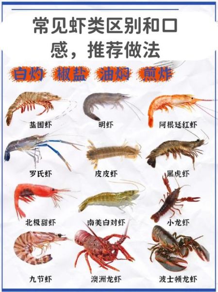 对虾是什么虾_对虾和基围虾区别-第3张图片-山城妙识 对虾是什么虾_对虾和基围虾区别-第3张图片-山城妙识