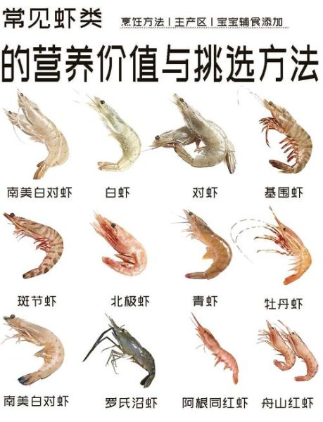 对虾是什么虾_对虾和基围虾区别-第2张图片-山城妙识 对虾是什么虾_对虾和基围虾区别-第2张图片-山城妙识