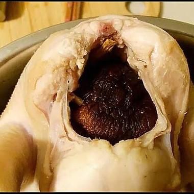 凤凰投胎是真的吗_凤凰投胎有什么征兆-第3张图片-山城妙识