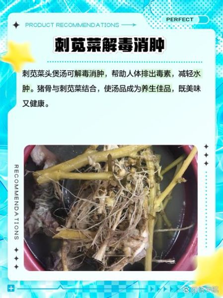 刺菜泡水喝有什么好处_刺菜泡水喝的正确方法-第1张图片-山城妙识