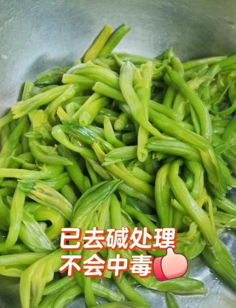油炸黄花菜怎么做好吃_油炸黄花菜的家常做法-第1张图片-山城妙识