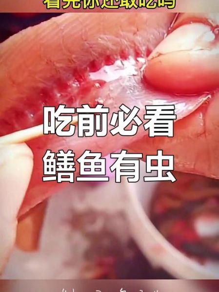 黄鳝寄生虫多少度能杀死_高温处理安全温度-第1张图片-山城妙识