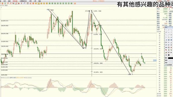 豆粕期货价格走势_东方财富网怎么看-第3张图片-山城妙识