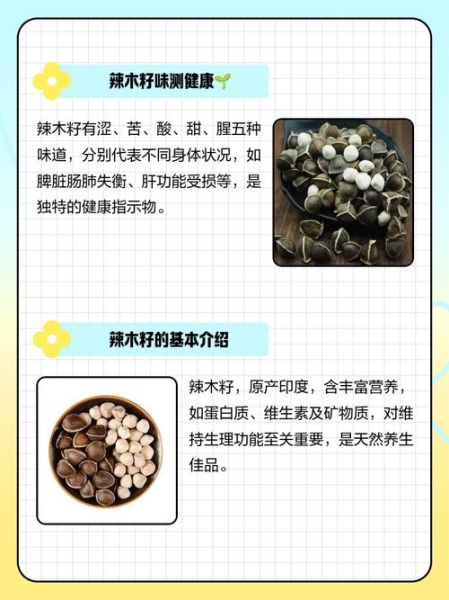 辣木籽空腹吃还是饭后_辣木籽什么时候吃最好-第1张图片-山城妙识