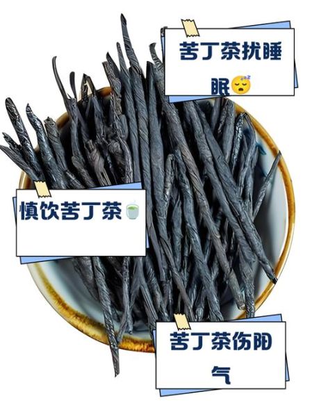 苦丁茶的功效与作用_苦丁茶的副作用有哪些-第2张图片-山城妙识