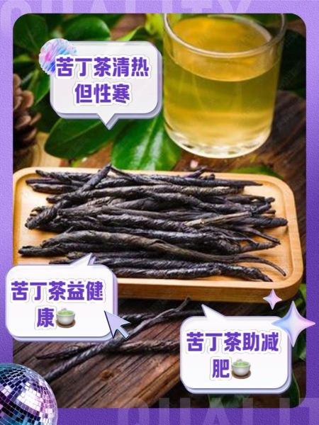 苦丁茶的功效与作用_苦丁茶的副作用有哪些-第3张图片-山城妙识