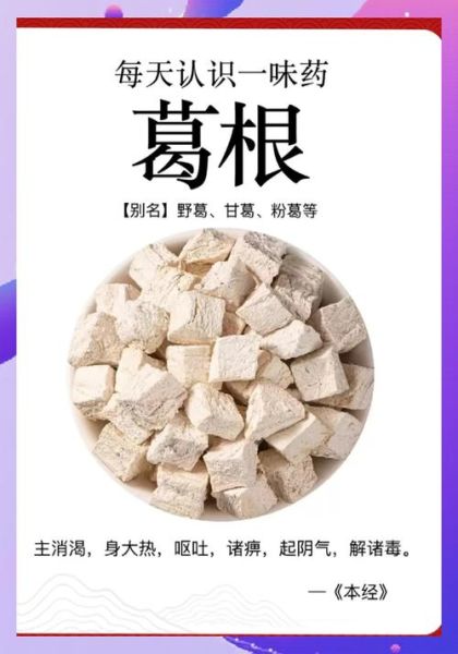 葛根素的功效与作用_葛根素能降血压吗-第1张图片-山城妙识