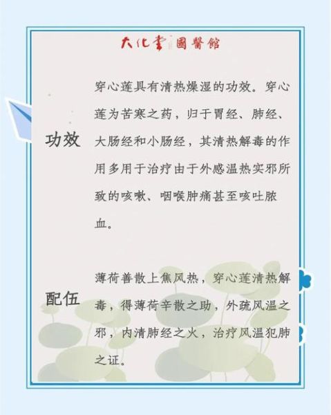 穿心莲片的功效与作用_吃多久见效-第3张图片-山城妙识