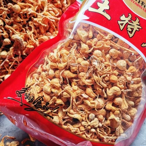 金虫草的功效与作用_金虫草怎么吃效果最好-第2张图片-山城妙识