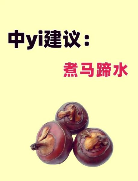 马蹄水可以天天喝吗_马蹄水的功效与作用禁忌-第1张图片-山城妙识