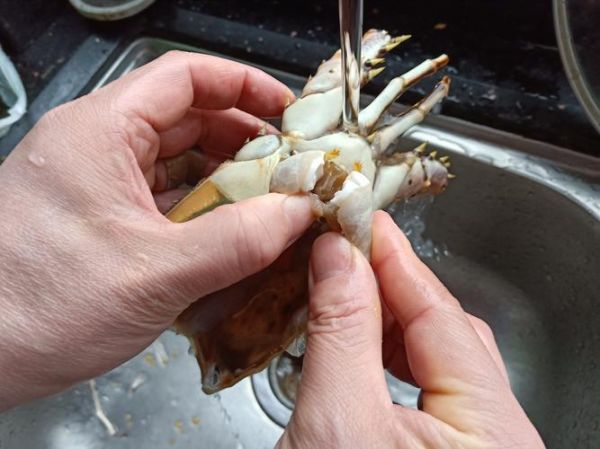 大龙虾怎么清洗_大龙虾清洗方法视频-第3张图片-山城妙识