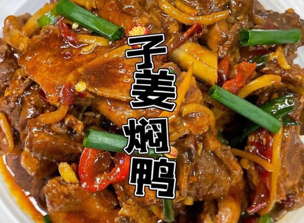 怎样焖鸭肉好吃又简单_家常焖鸭零失败技巧-第2张图片-山城妙识