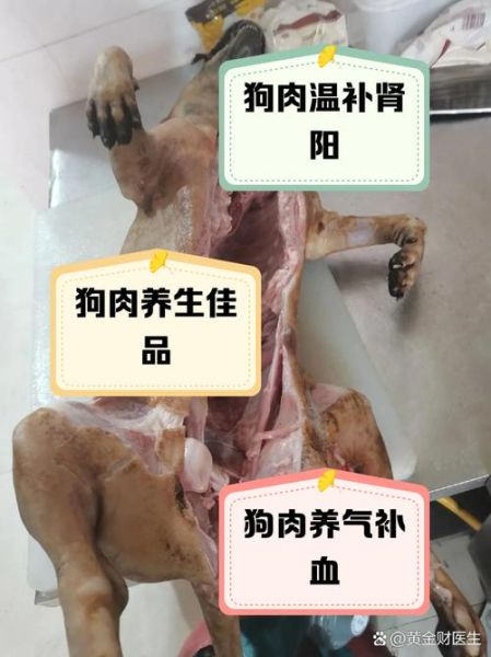 狗肉对男人身体的好处_男人吃狗肉能壮阳吗-第2张图片-山城妙识