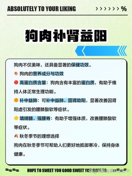 狗肉对男人身体的好处_男人吃狗肉能壮阳吗-第1张图片-山城妙识