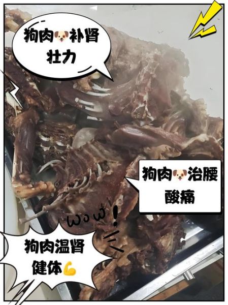 狗肉对男人身体的好处_男人吃狗肉能壮阳吗-第3张图片-山城妙识