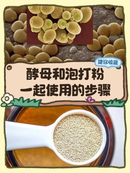 泡打粉和酵母能一起用吗_泡打粉酵母怎么混合用-第1张图片-山城妙识