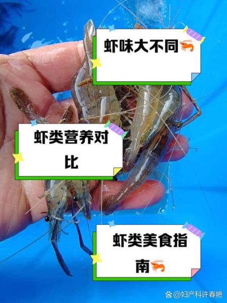 基围虾和青虾哪个贵_如何区分-第3张图片-山城妙识