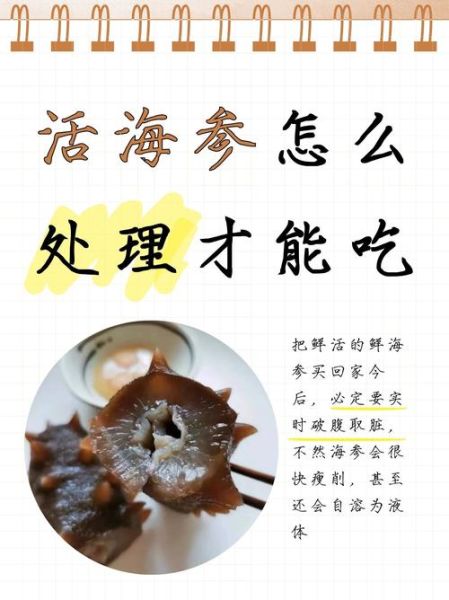 鲜海参怎么处理_鲜海参怎么清洗-第3张图片-山城妙识