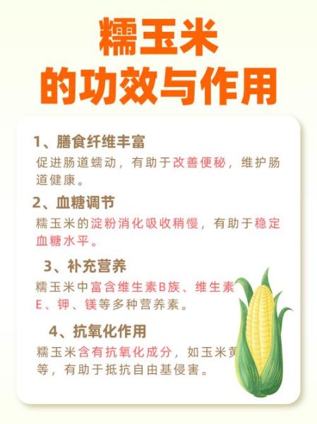 玉米的功效与作用禁忌_玉米什么人不能吃-第1张图片-山城妙识