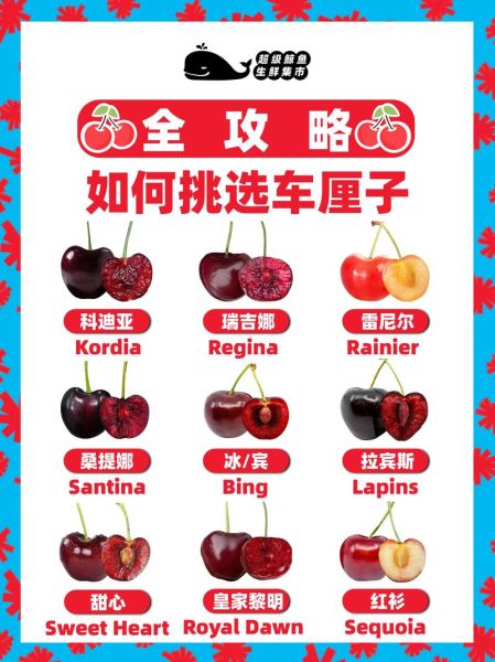 车厘子多少钱一斤_车厘子怎么挑选-第1张图片-山城妙识