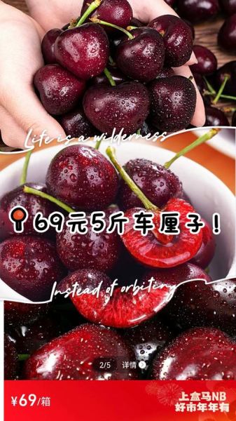 车厘子多少钱一斤_车厘子怎么挑选-第2张图片-山城妙识