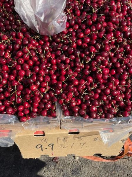 车厘子多少钱一斤_车厘子怎么挑选-第3张图片-山城妙识